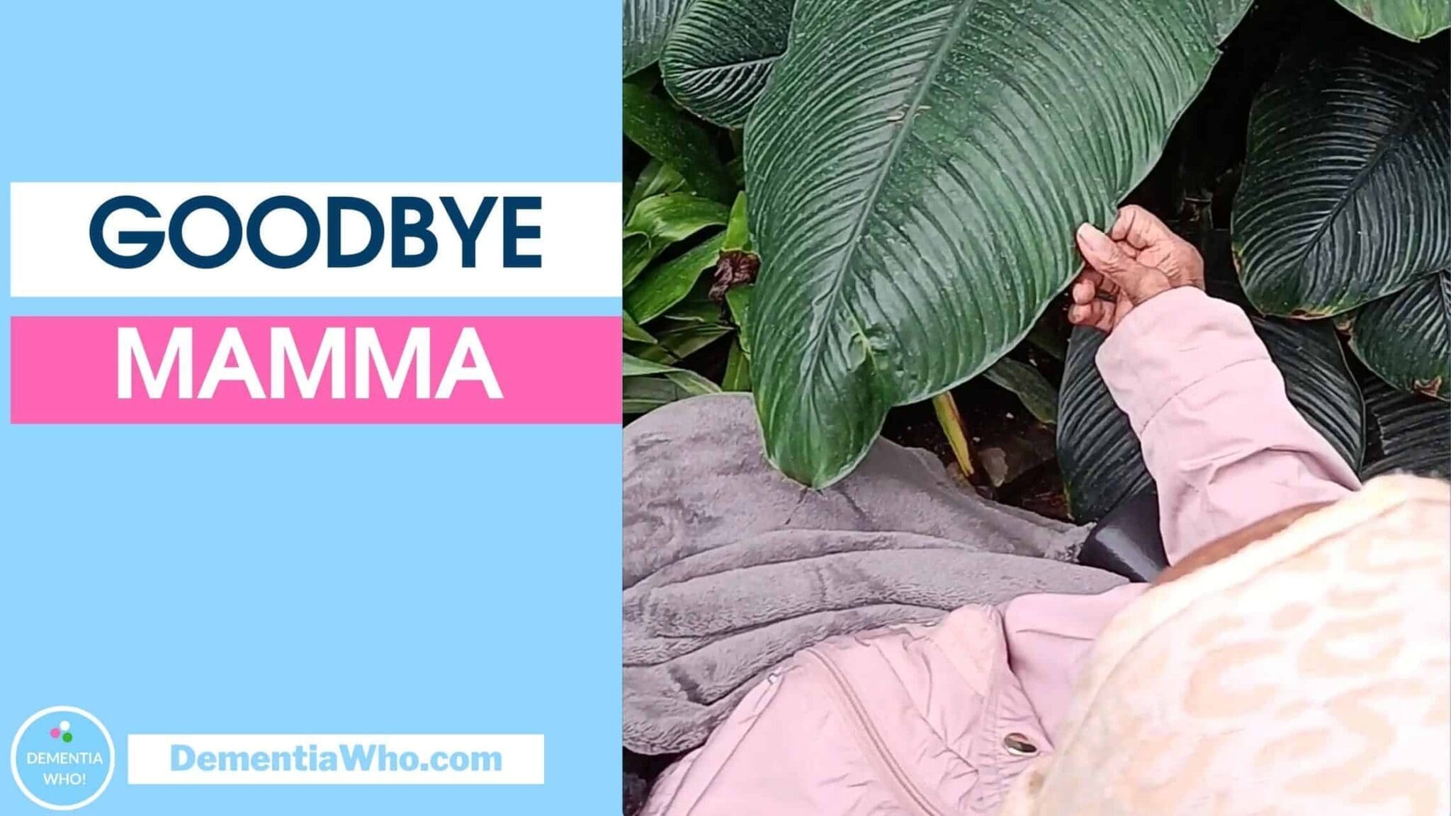 Free Printable - Clothing Labels for Dementia Caregivers - DementiaWho!